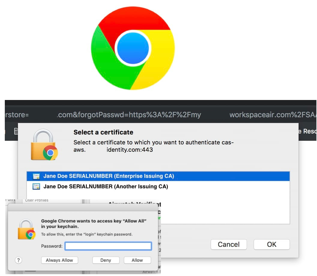 Managing Identity Preferences to Streamline Single Sign-On for macOS ...
